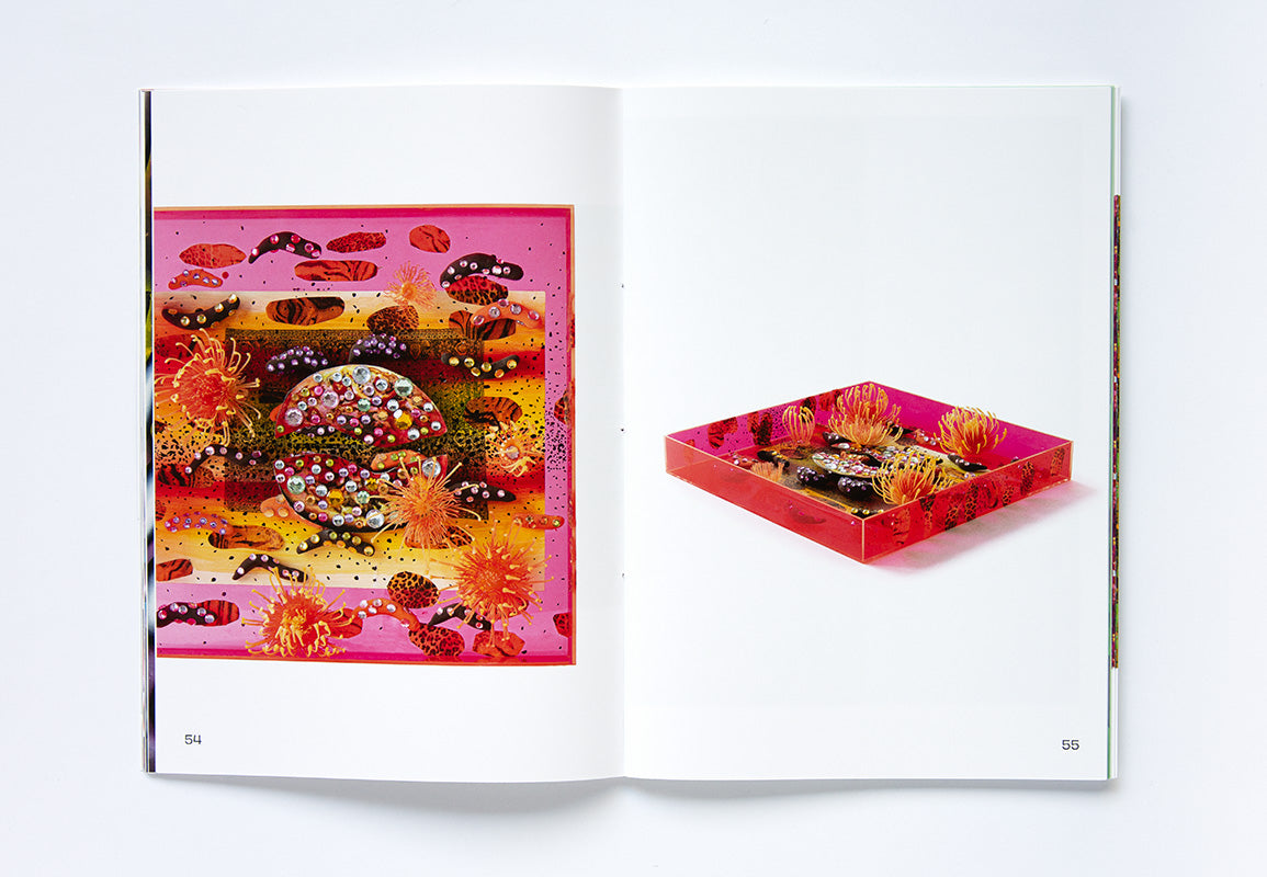 Lisa Vlaemminck ‘Screensaver Error’ – Posture Editions