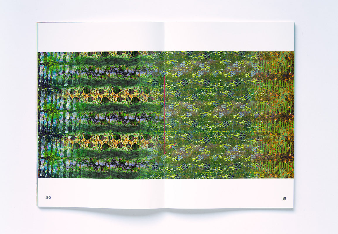 Lisa Vlaemminck ‘Screensaver Error’ – Posture Editions